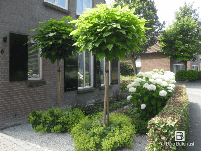 Tuinontwerp voortuin-Kies voor een helder en eenvoudig tuinontwerp